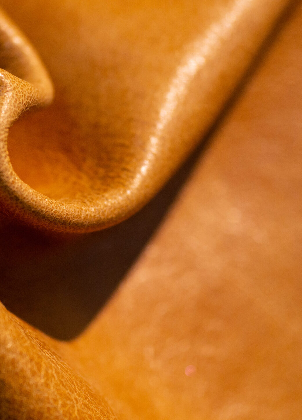 Protect your Leather with Tex Biosciences’ broad range of Preservatives ...